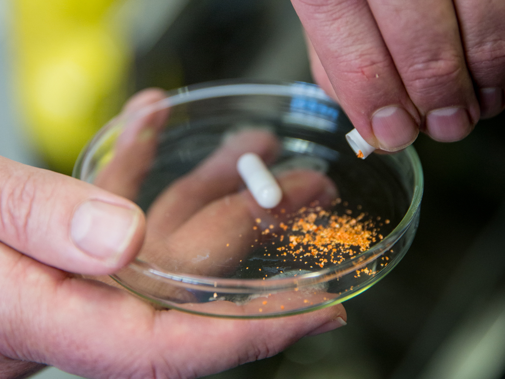 Encapsulation of sensitive actives for human and animal health | CSIR